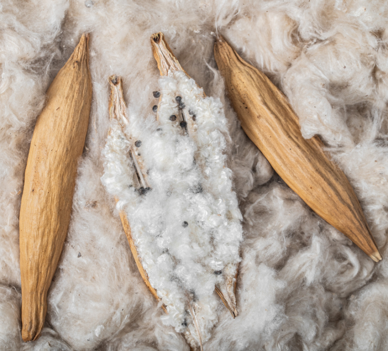 Quels sont les différents types de colles ? - Artablog